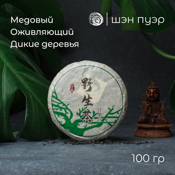 Чай шэн пуэр Гуюаньчунь "Е Шэн" с почками Я Бао, 2020 год, 100 грамм ...