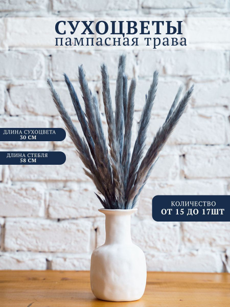 Сухоцветы Shanly Home Пампасная трава, 58 см, 100 гр купить по выгодной ...