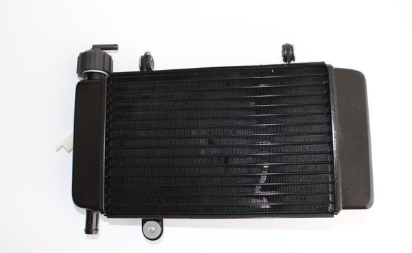 Радиатор охлаждения для мотоцикла Racer RC250-GY8X Flash - купить по ...