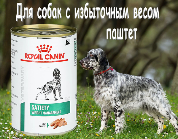 Влажный корм для собак Royal Canin Satiety Weight Management для ...