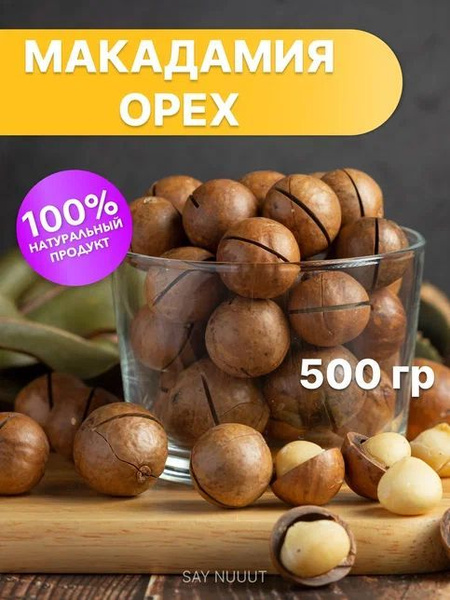 Макадамия орех в скорлупе SAYNUUUT, 500 гр купить на OZON по низкой цене (1681706689)