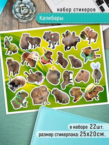 Наклейки Смешные капибары Стикеры капибары-2 - купить с доставкой по ...