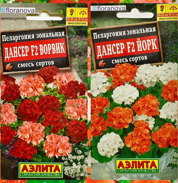 Пеларгонии (Герань) Агрофирма Аэлита многолетних цветов для дома и сада ...