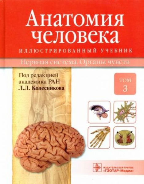 Анатомия человека. Учебник в 3-х т. Том 3. Нервная система. Органы ...