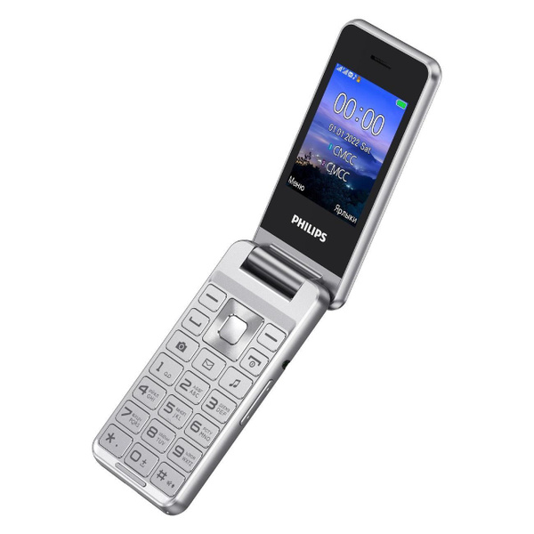 Мобильный телефон Philips Xenium E2601, серебристый - купить по ...