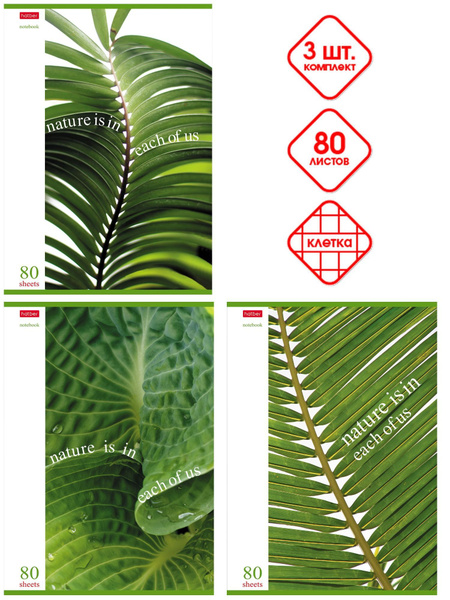 Набор тетрадей Hatber 3 штуки/3 дизайна 80 листов, формата А4, в клетку, на скобе -Природа в ...