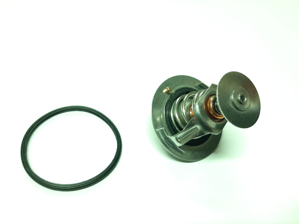 Термостат ISF 2.8 DCED 5257076 (Foton/Cummins) купить на OZON по низкой ...