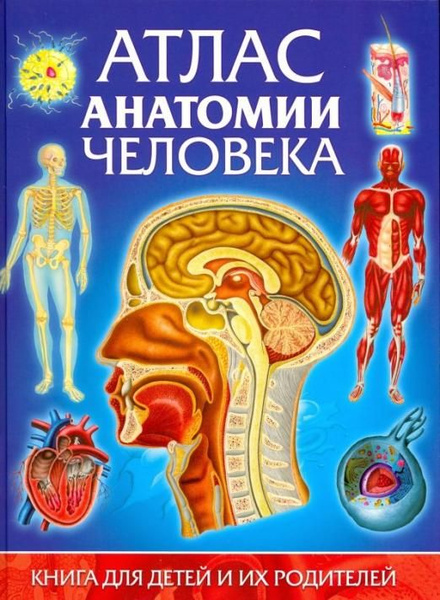 Атлас анатомии человека. Книга для детей и их родителей | Гуиди ...