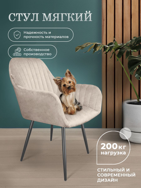 Стул SHT-ST38/S95-1 на металлокаркасе купить на OZON по низкой цене (1233106838)