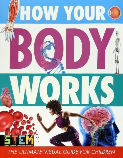 How Your Body Works. The Ultimate Visual Guide - купить с доставкой по ...