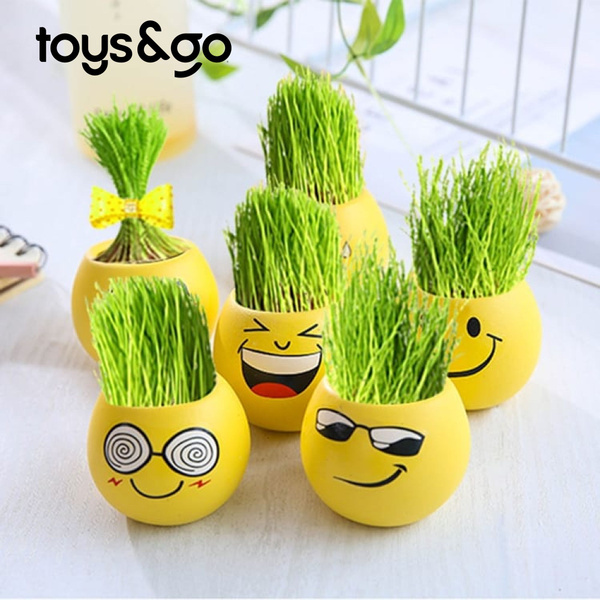 Купить Травянчик "Смайл милый" по выгодной цене в интернет-магазине ...