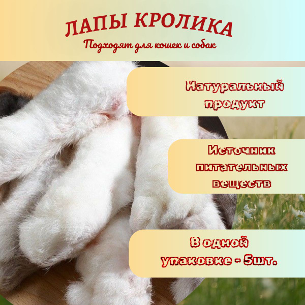 Лакомство для собак и кошек - Лапы кролика сушеные - 5 шт - купить с ...