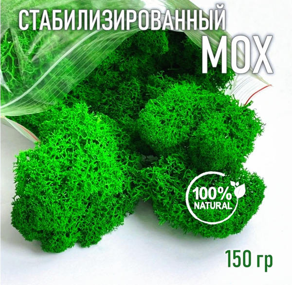 Стабилизированный мох Мох, 8 см, 150 гр купить по выгодной цене в ...