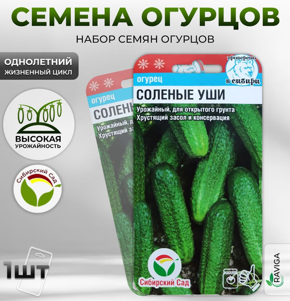Огурцы Raviga 273_Соленые уши - купить по выгодным ценам в интернет ...