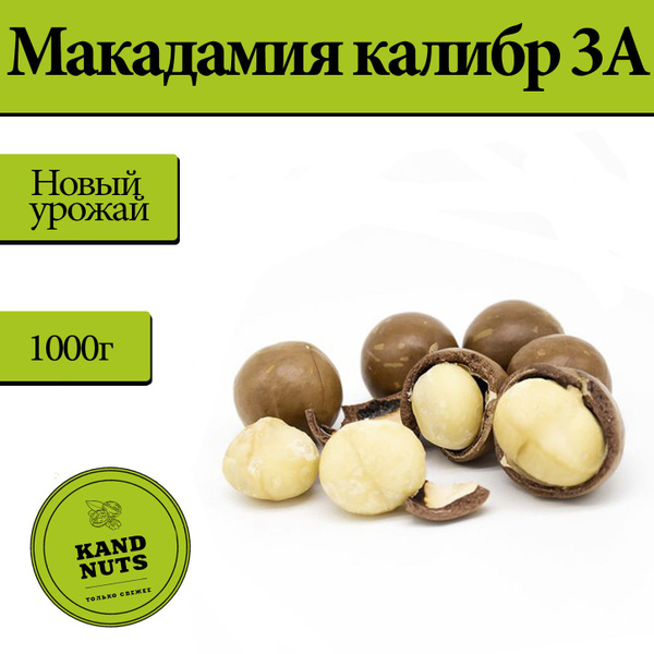 Макадамия калибр 3а - купить с доставкой по выгодным ценам в интернет ...