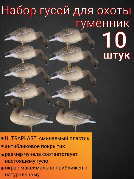 Oscar decoys Чучело - купить с доставкой по выгодным ценам в интернет ...