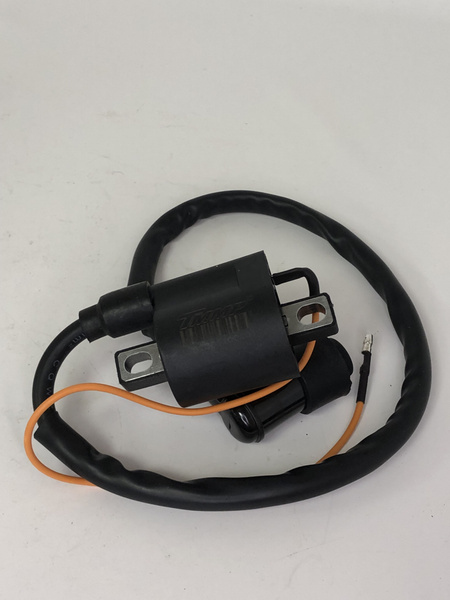 Катушка зажигания Yamaha Jog 50 / 139 FMB Дельта, TTR250, Минск 125 с ...