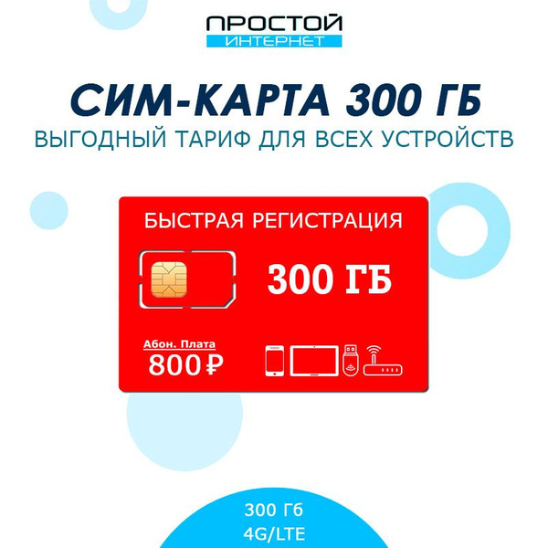 Дачный тариф 300 Гб для всех устройств за 800 руб/мес - купить с ...