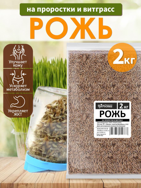 Рожь зерно для проращивания и микрозелени 2 кг купить на OZON по низкой ...