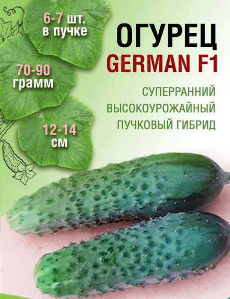 Огурцы Seminis Герман - купить по выгодным ценам в интернет-магазине ...