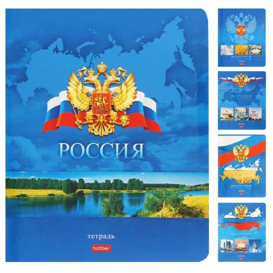 Тетрадь 48л клетка Россия ассорти 5 видов - купить с доставкой по ...
