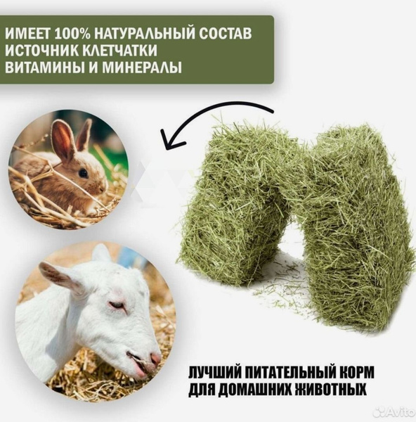 Сено луговое 5кг - купить с доставкой по выгодным ценам в интернет ...