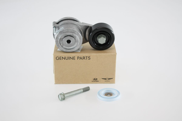 Ролик-натяжитель ремня генератора для Hyundai Santa Fe 17- Tucson 17 ...