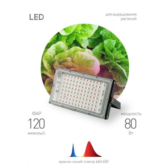 Фитопрожектор для растений светодиодный ЭРА FITO-80W-RB-LED-Y купить на ...