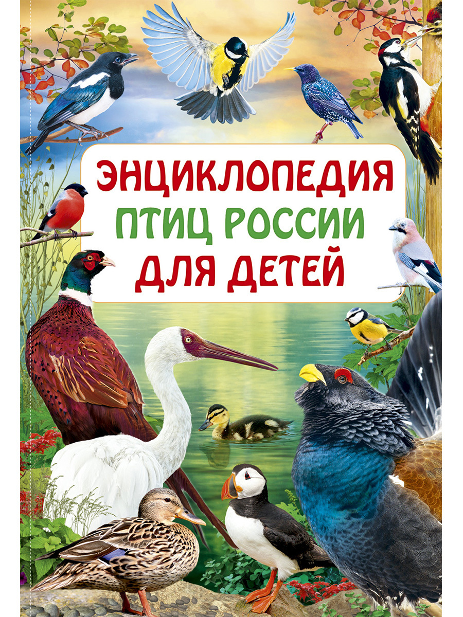 Книга " Энциклопедия птиц России для детей. Детские книги. Первая ...