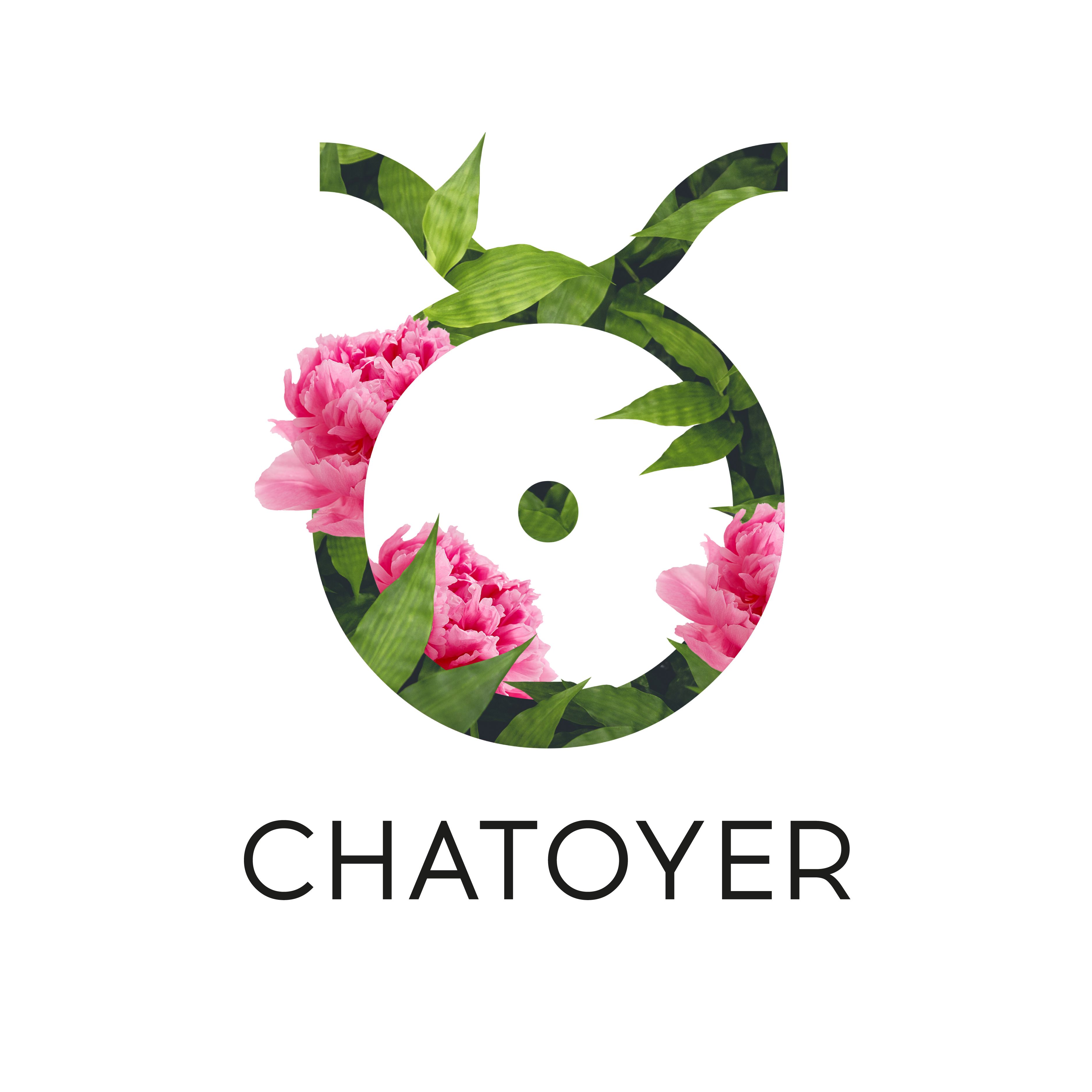 Chatoyer — купить товары Chatoyer в интернет-магазине OZON