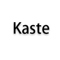 Kaste — купить товары Kaste в интернет-магазине OZON