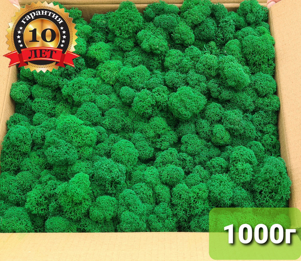 Стабилизированный мох ECOZON Мох, 8 см, 1000 гр купить по выгодной цене ...