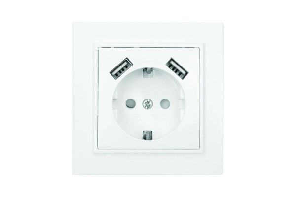 Розетка EKF МИНСК, скрытый монтаж, с заземлением, со шторками, белый, ERR16-028-100-2USB купить ...