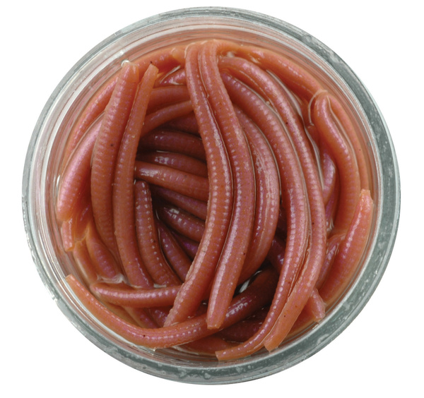 Мягкая биоразлагаемая приманка червь земляной Berkley GULP! ALIVE ...