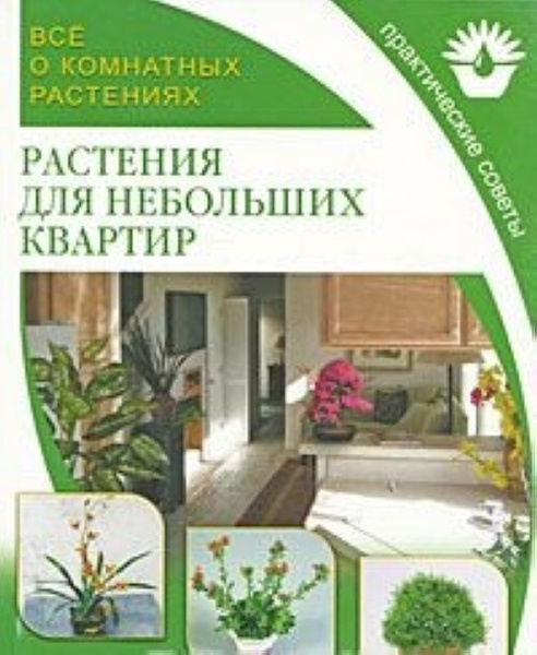 Все о комнатных растениях Растения для небольших квартир - купить с ...