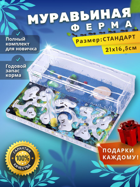 TopAnt Стандартная муравьиная ферма МАКСИМАЛЬНЫЙ комплект формикарий ...