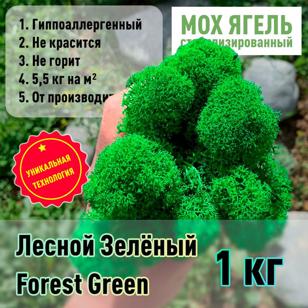Russian Moss Стабилизированный мох Мох, 7.5 см, 1000 гр, 1 шт купить на ...