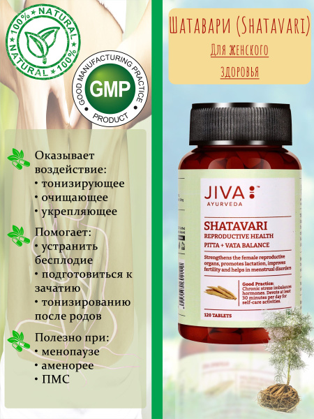 Jiva Ayurveda Шатавари (Shatavari), 120 таб купить на OZON по низкой цене (1871794186)