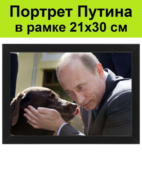 Портрет Президента Владимира Путина в рамке 21х30 см / картина, постер ...