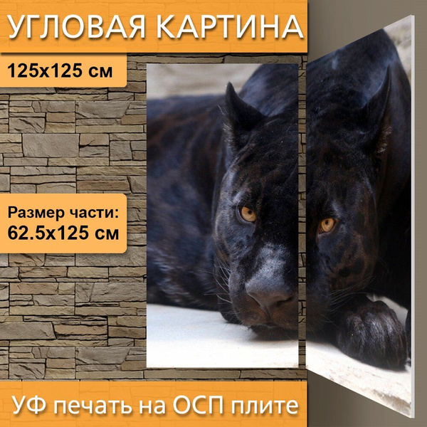 Угловая модульная картина Черная пантера ягуар хорошую зверя для