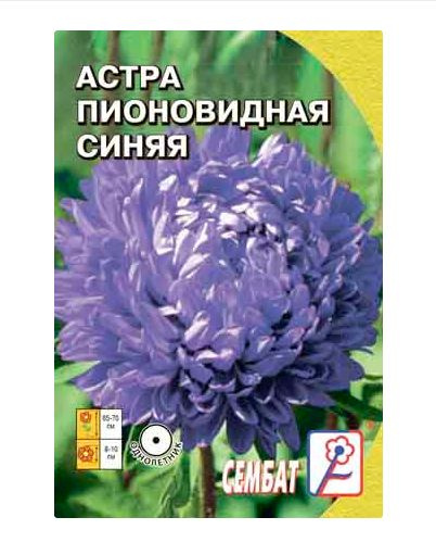 Сембат Астра - купить по выгодным ценам в интернет-магазине OZON ...