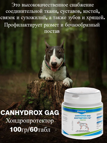 Добавка в корм для собак Canina Canhydrox GAG Forte Для здоровья костей ...