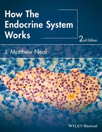 How the Endocrine System Works | Neal J. Matthew | Электронная книга ...