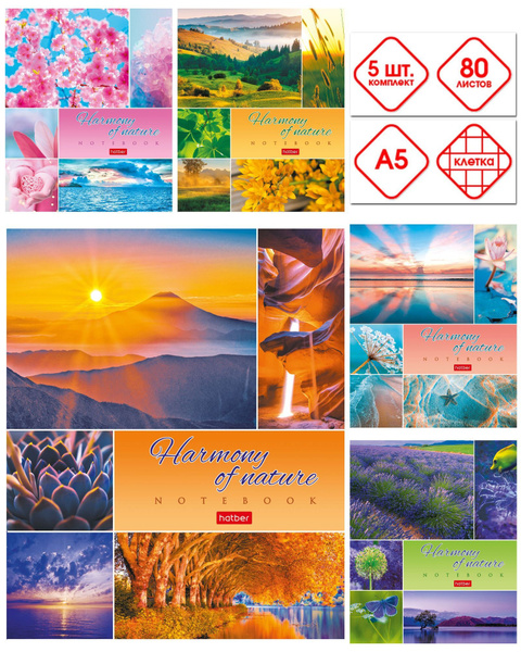 Набор тетрадей Hatber 80 листов, формата А5, в клетку, на скобе, 65 г/кв. м, 5 штук/5 дизайнов ...