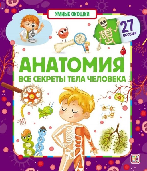 Анатомия. Все секреты тела человека. Книжка с окошками - купить с ...