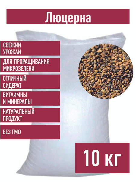 Люцерна семена для проращивания, 10 кг. - купить с доставкой по ...