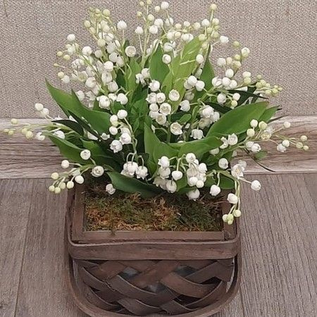 Ландыш, цвет белый, 15 шт купить по выгодной цене в интернет-магазине ...