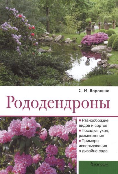 Рододендроны - купить с доставкой по выгодным ценам в интернет-магазине ...