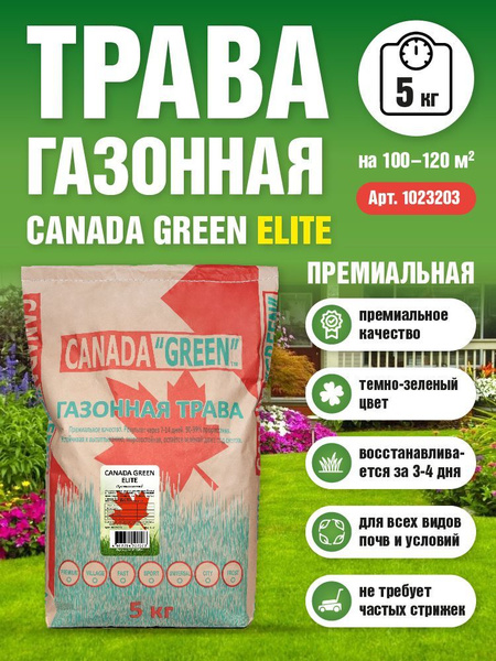 Газонные травы, Различные травы Canada Green Газон Премиум_1 - купить ...