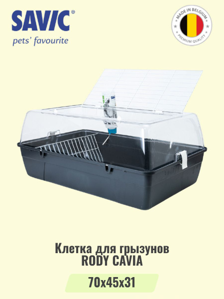 Клетка для грызунов RODY CAVIA купить на OZON по низкой цене (944214593)